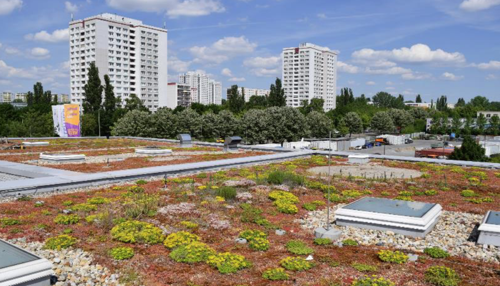Leipzig braucht mehr grüne Dächer - Ökolöwe